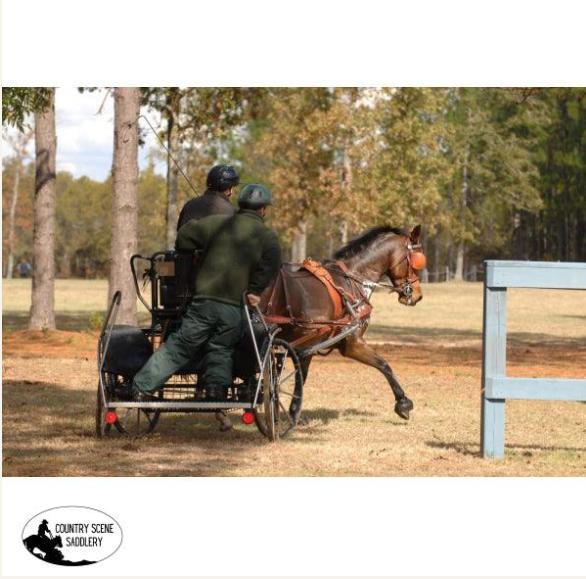 Harness Racing – Country Scene Saddlery and Pet Supplies