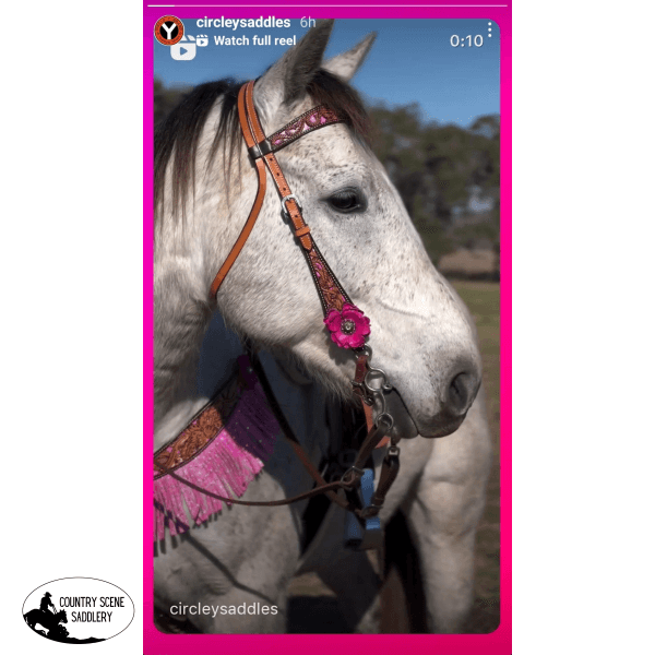 Circle Y Tack and Pads – Country Scene Saddlery and Pet Supplies