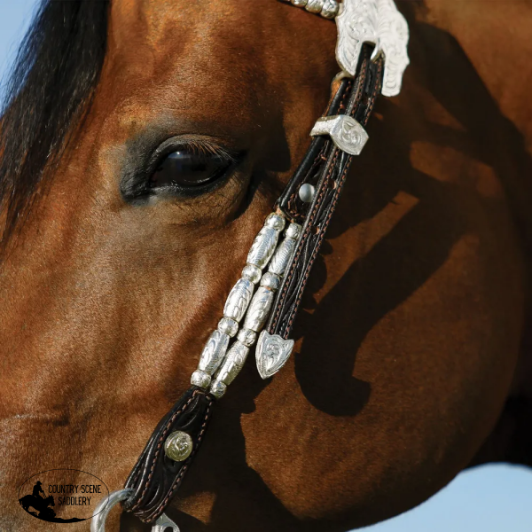 Double S Two Ear Double Ferrule Show Headstall – Country Scene Saddlery ...