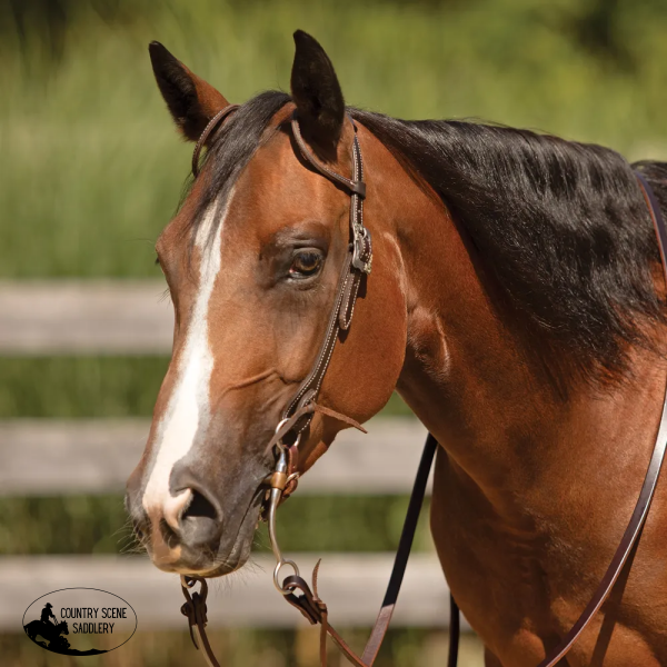 New! Billy Royal® Canyon Ranch Two Ear Ranch Headstall – Country Scene ...