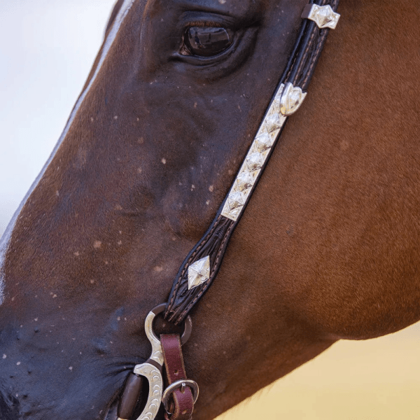 New! Billy Royal® Double Diamond Two Ear Headstall – Country Scene ...