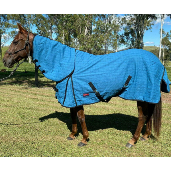 New! Canvas Combo ( Blanket Lined) – Country Scene Saddlery and Pet ...