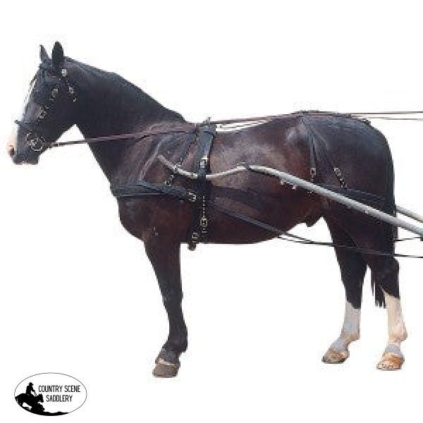 New! Equi-Web Nylon Driving Harness – Country Scene Saddlery and Pet ...